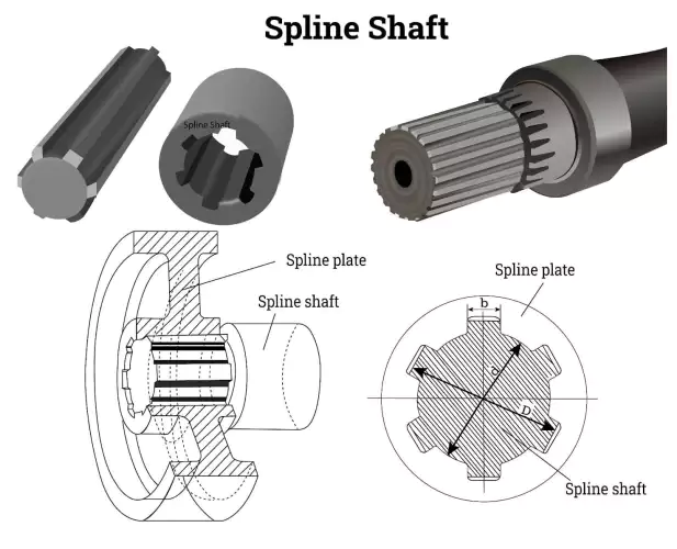 how to draw a spline shaft - Find China manufacturer and supplier - HZPT Blog