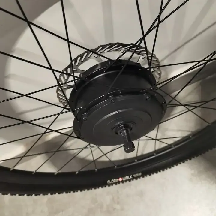 China HZPT P160 250W 400W Electric Bike Intelligent Engine Motor Set Up ...