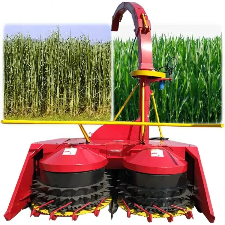 China Forage Harvester for Corn and Sorghum Harving RXMC-80S RXMC 90 ...