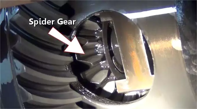 Do all vehicles have spider gears in their differentials? - Find China ...
