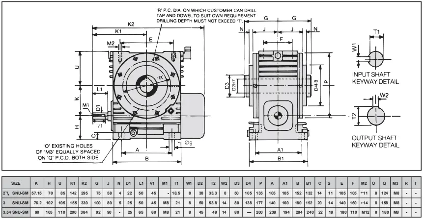 China Worm Reducer-Replacement of Elecon Worm Gear Small Series 3 SNU ...