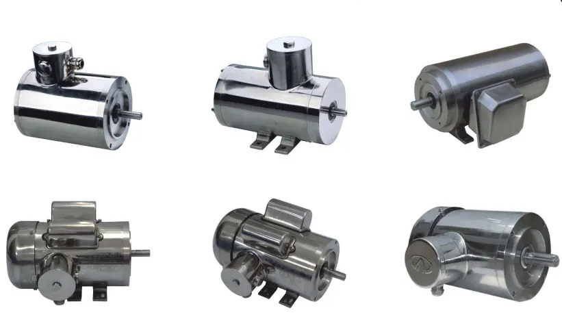 What Are the Differences Between a Stainless Steel Worm Gearmotor and a ...