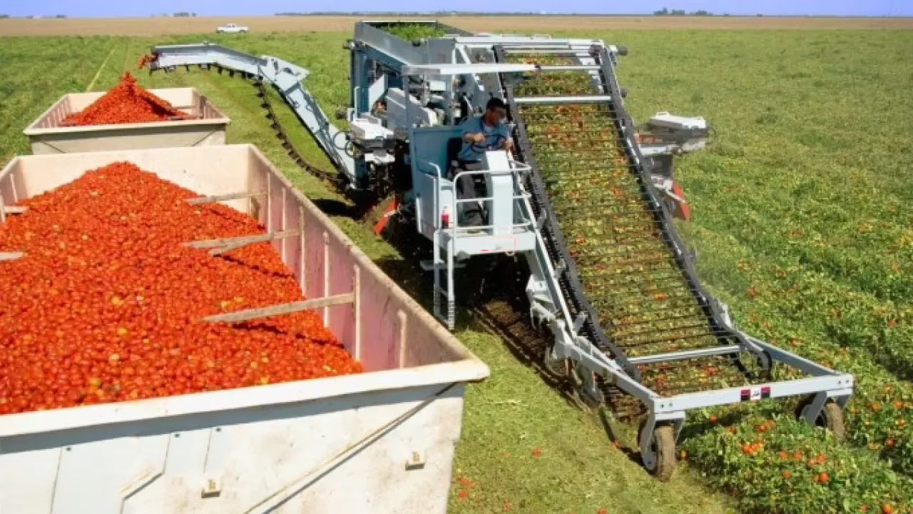 China supplier Modular Conveyor Belt for Pizza Oven Stainless Steel ...