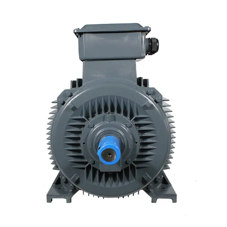 China TYC series (IP55) Rare Earth Permanent Magnet Three-Phase ...