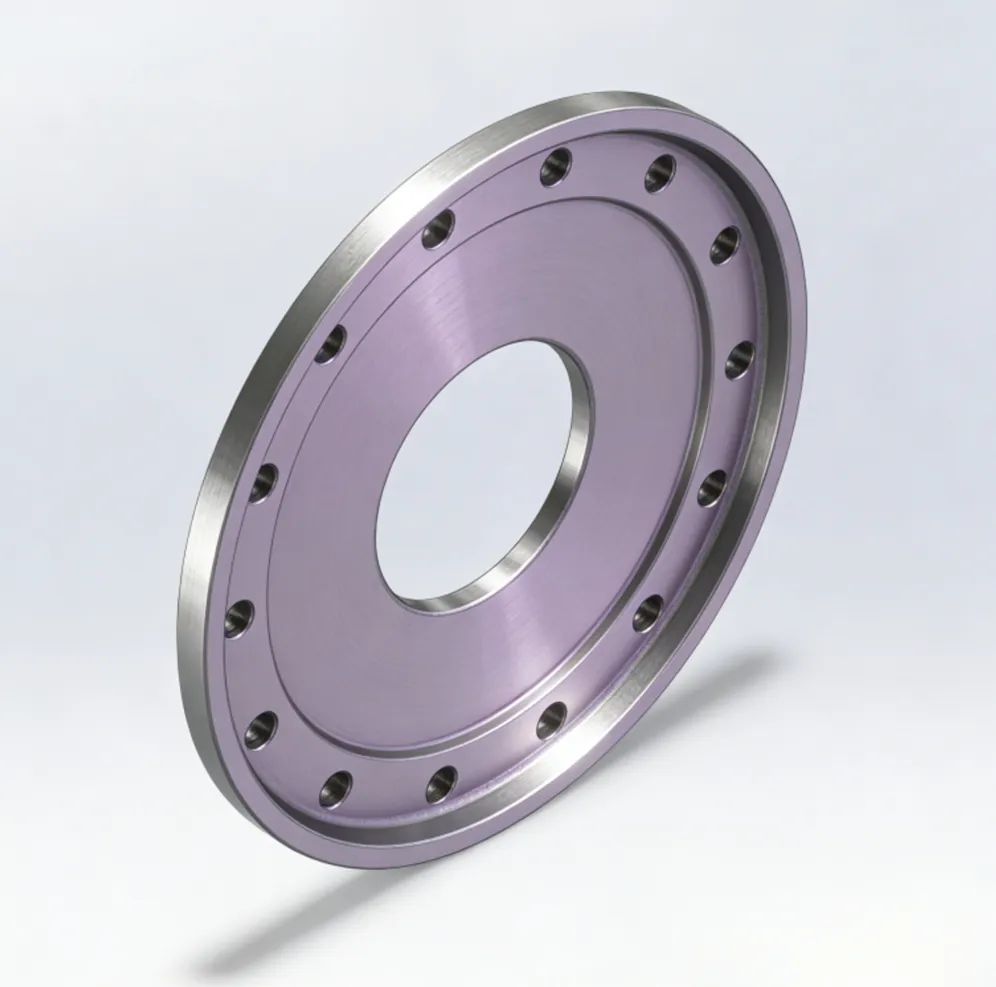 China Heavy-Duty Support Roller Inner Cover Plate B0401169 (Φ63*Φ25*5 ...