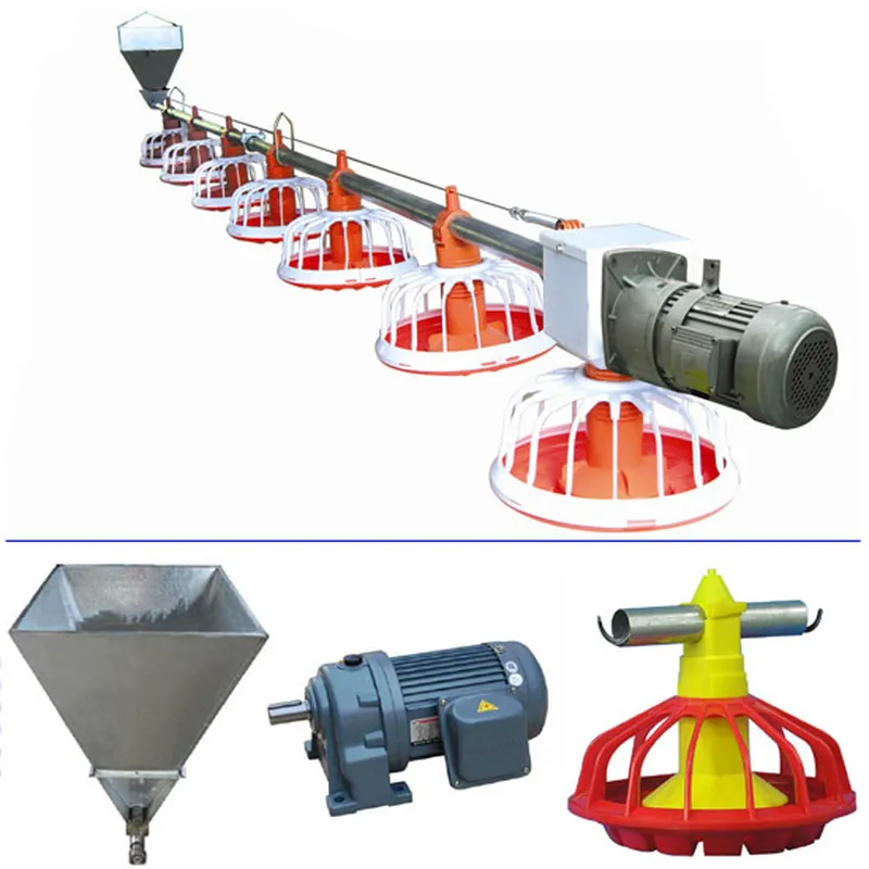 Farm Poultry Feeder Gearbox for Poultry Feed Efficiency Systems - Blog ...