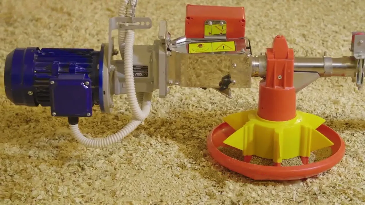 Poultry Feeding Gearbox for Poultry Nutrition Systems - Blog of EVER-POWER