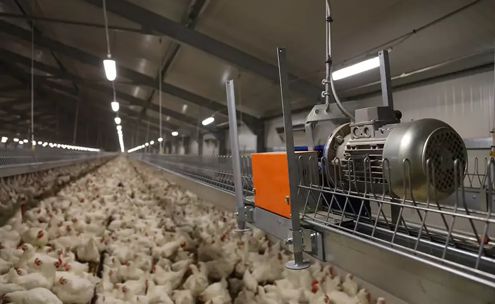 High Torque Poultry Feeding Gearbox for Poultry Feed Handling Systems ...